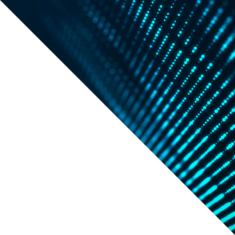 Portfolio | August Equity