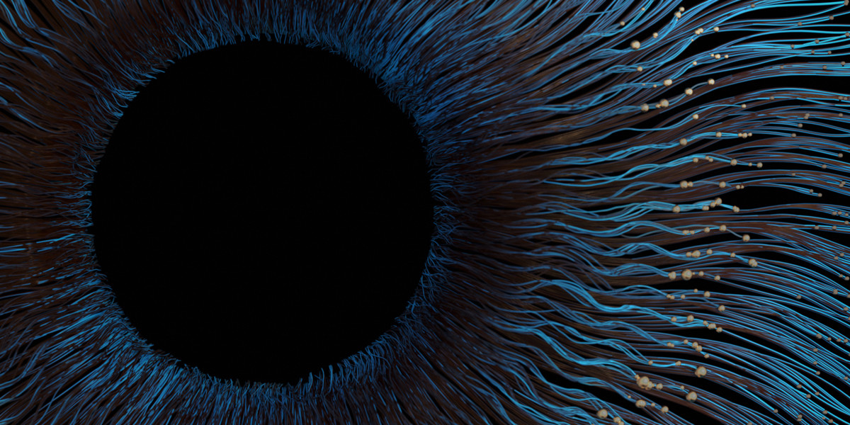 About us | August Equity