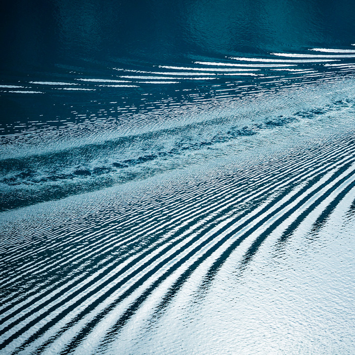 Portfolio | August Equity