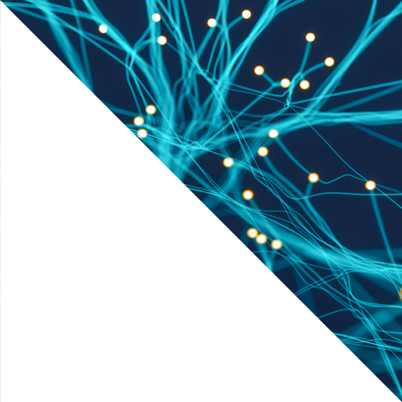 Portfolio | August Equity